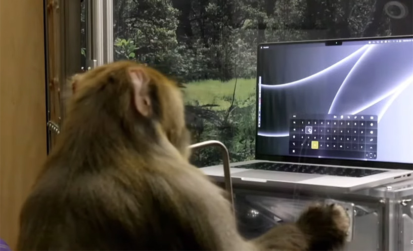 Neuralink insan deneylerine altı ay içerisinde başlayabilir - Digital Age